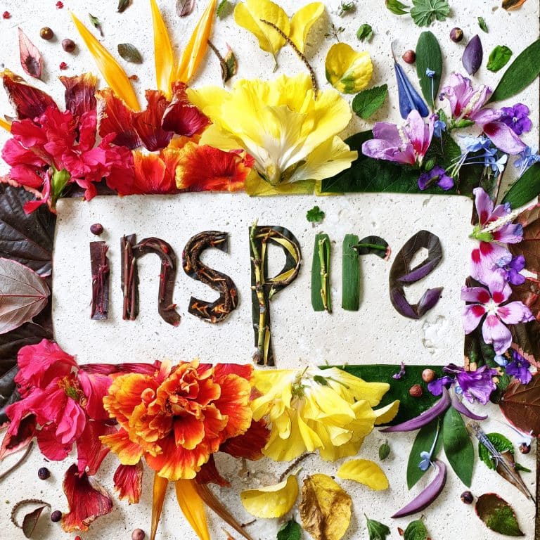 26 Beautiful Flowers with Meanings of Self Love - On Your Journey