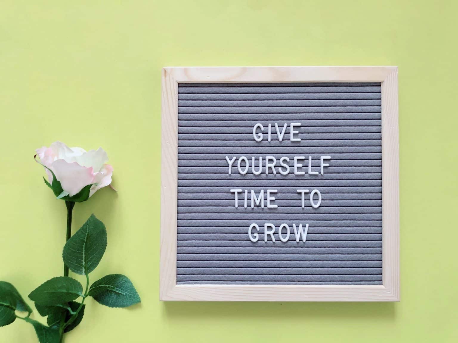 26 Beautiful Flowers with Meanings of Self Love - On Your Journey