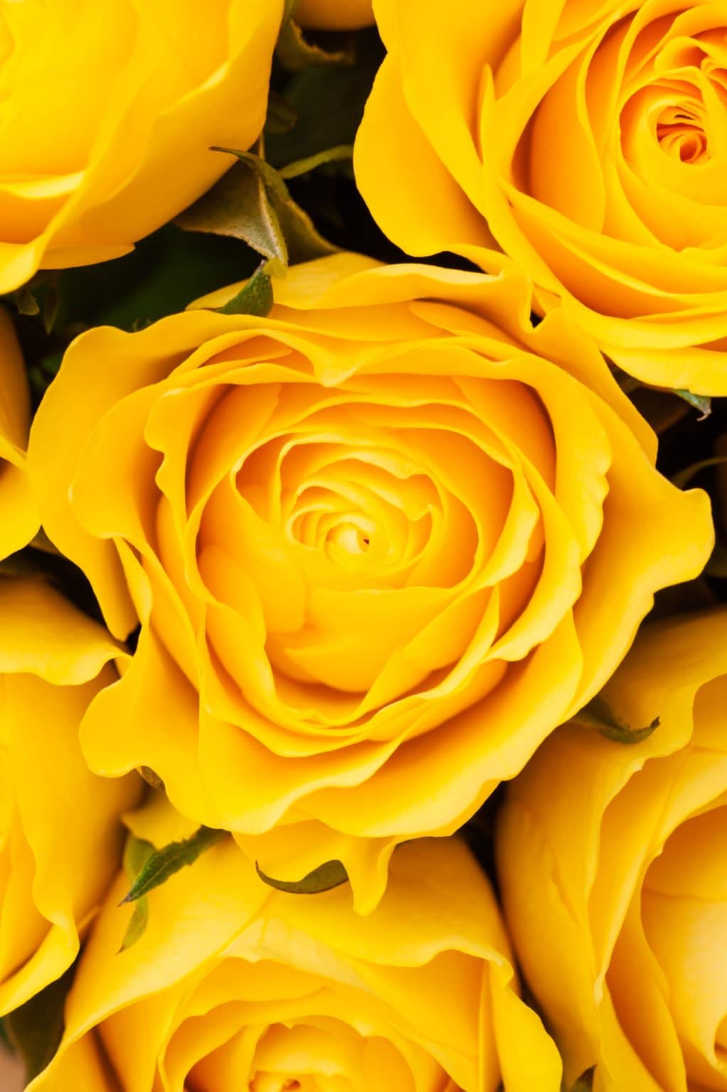 What Do Colors Mean During Meditation? - On Your Journey