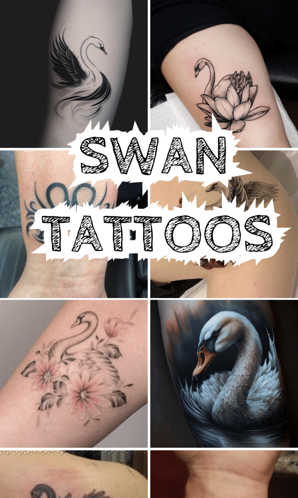 Swan Tattoo Meaning And Symbolism: 30 Best Designs - On Your Journey