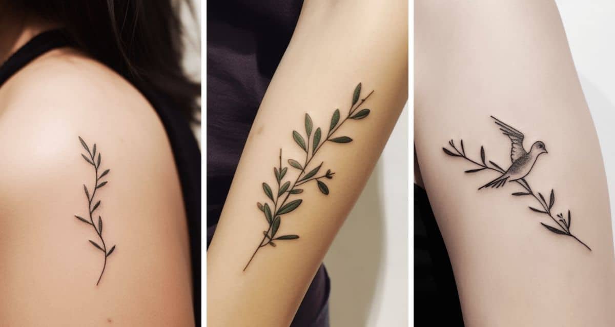 50 Amazing Olive Branch Tattoo Designs With Meaning - On Your Journey