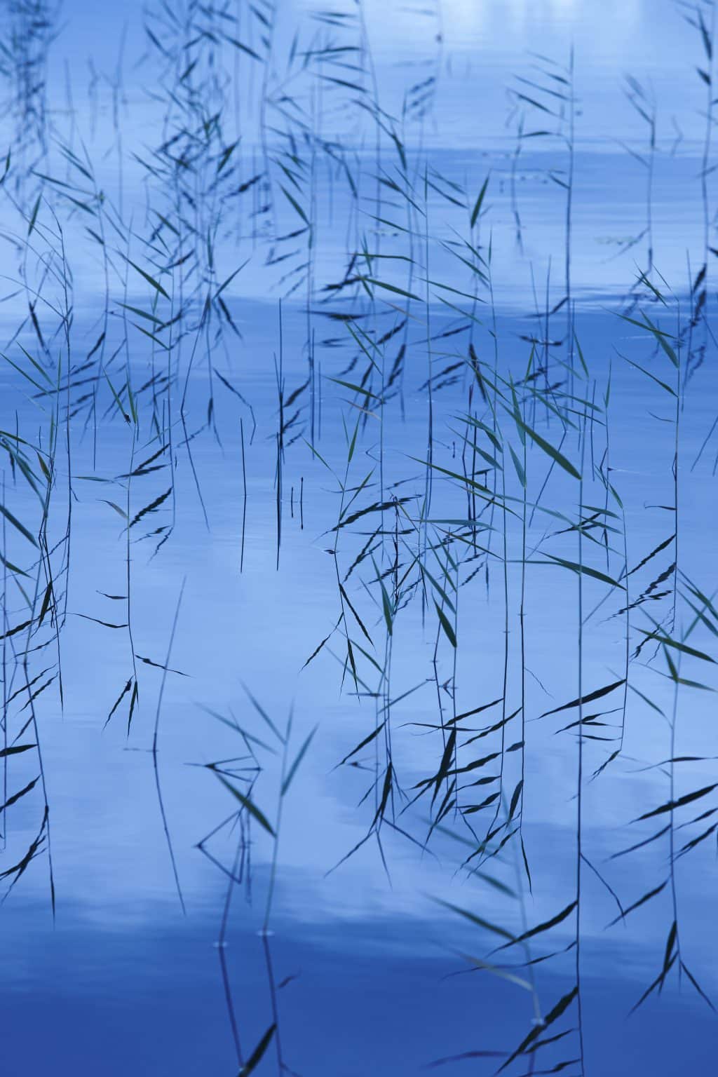 10 Color Personality Traits And Meanings - On Your Journey