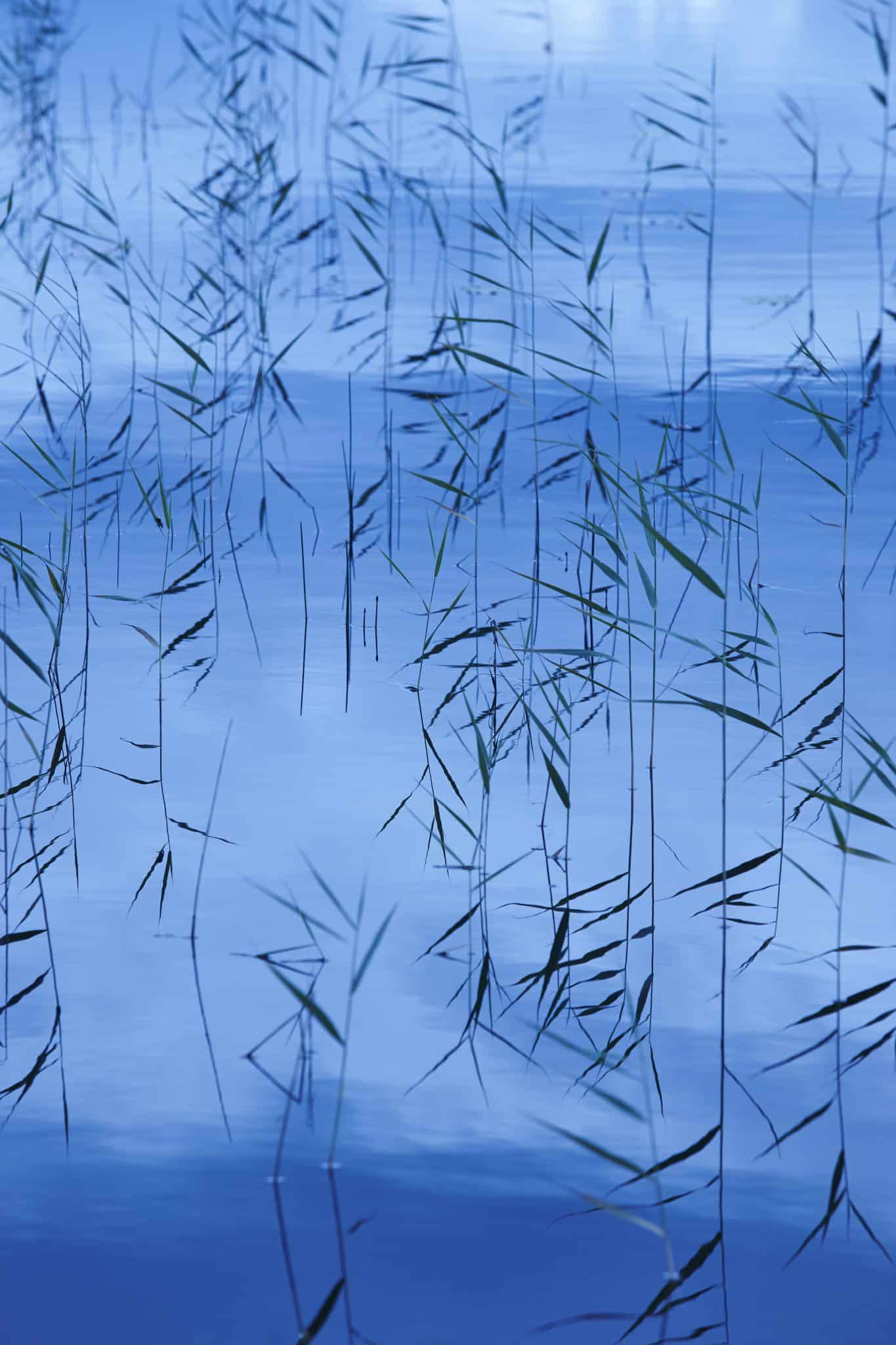 10 Color Personality Traits And Meanings - On Your Journey