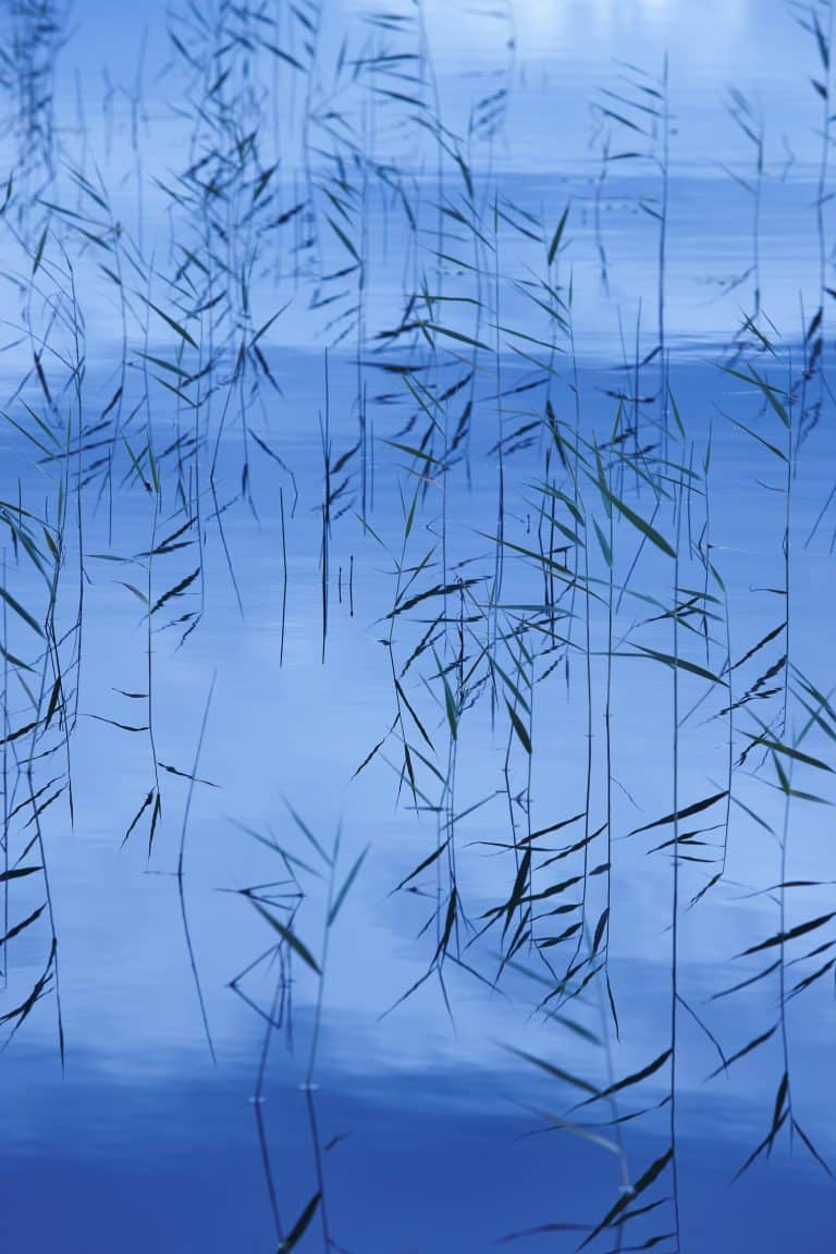 10 Color Personality Traits And Meanings - On Your Journey