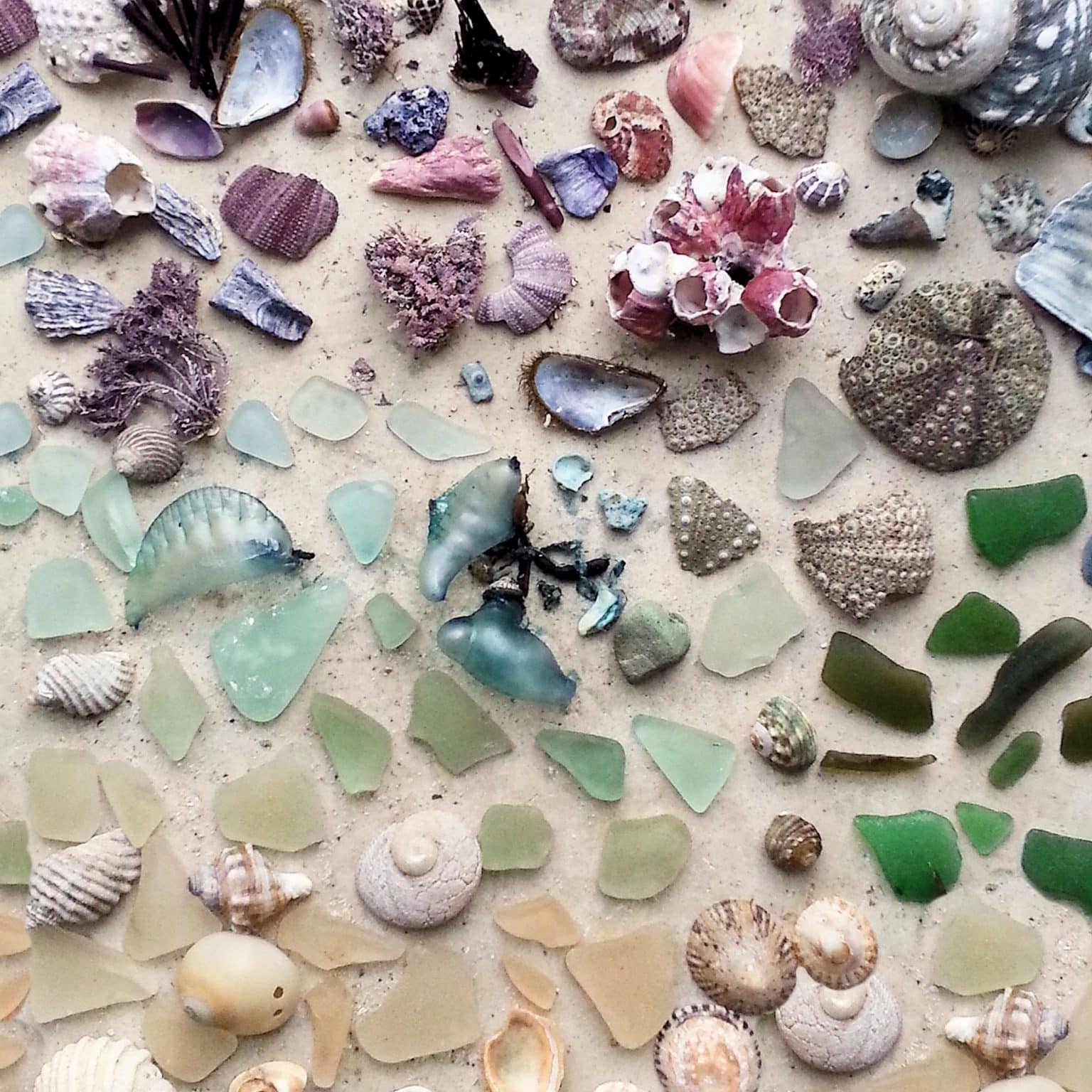 67 Best Inspirational Sea Glass Quotes - On Your Journey