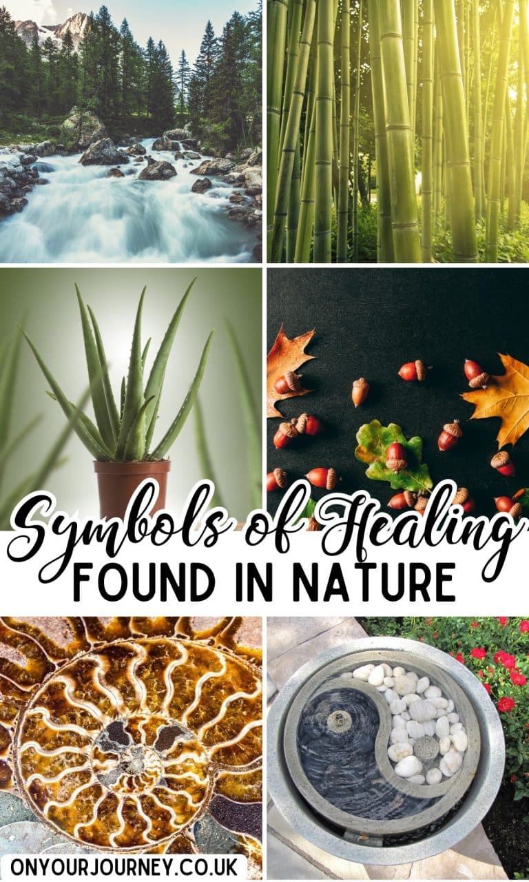 33 Inspirational Symbols of Healing in Nature - On Your Journey