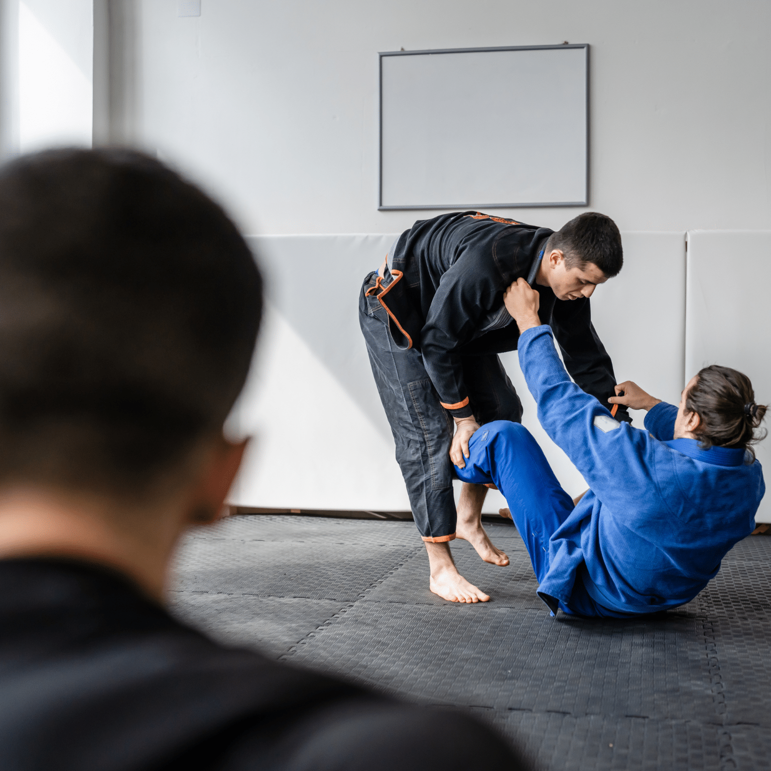The Ultimate Guide to Brazilian Jiu-Jitsu Belt Levels - On Your Journey