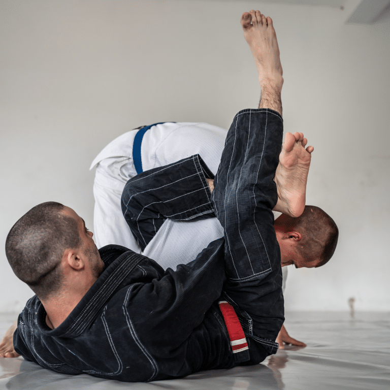 The Ultimate Guide to Brazilian Jiu-Jitsu Belt Levels - On Your Journey