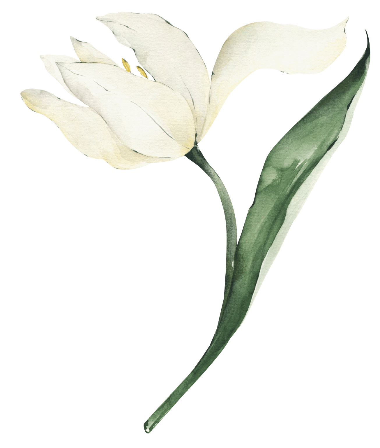 25 Powerful Symbols of Letting Go - On Your Journey