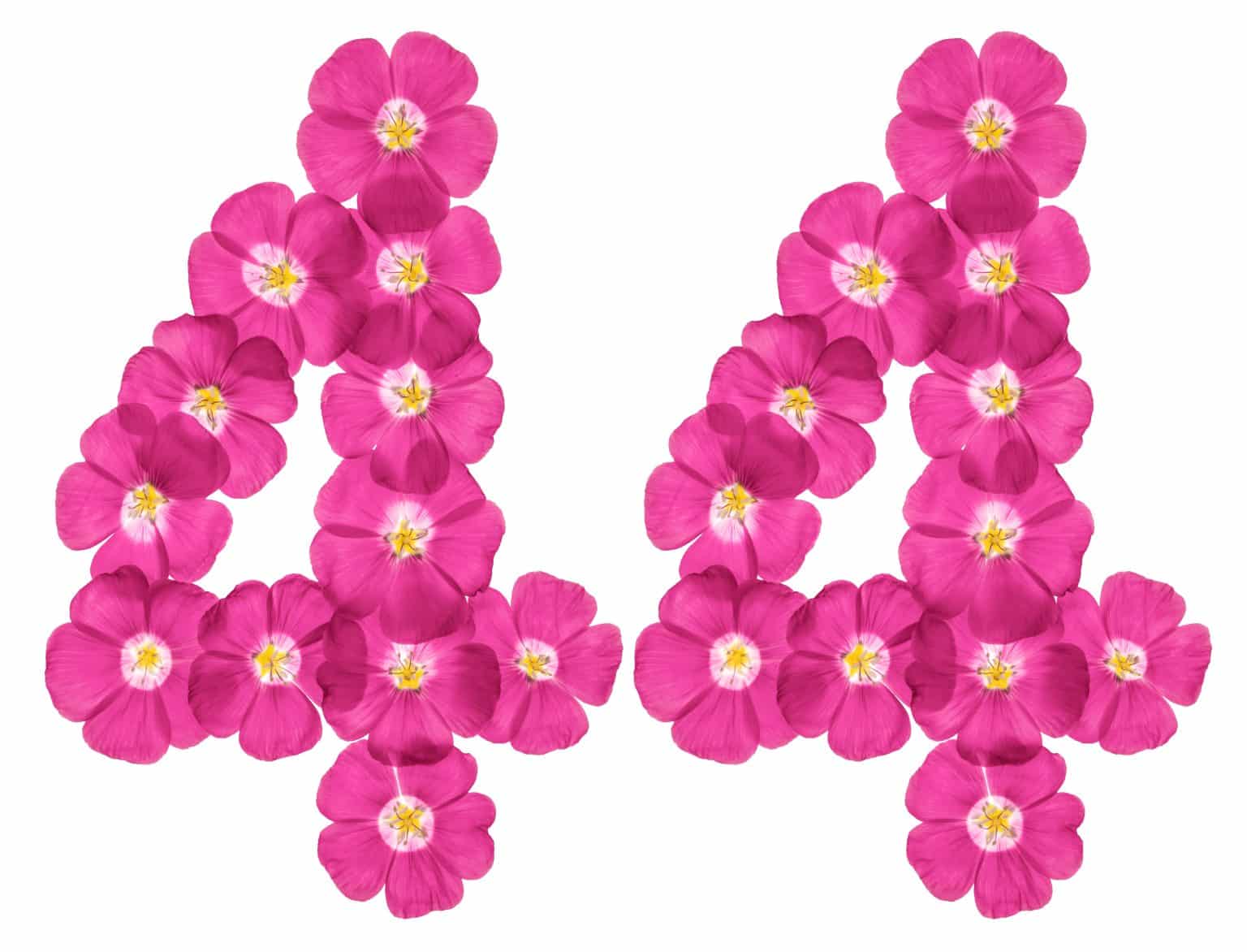 44 Angel Number Meaning: Symbolism & Spiritual Significance - On Your ...