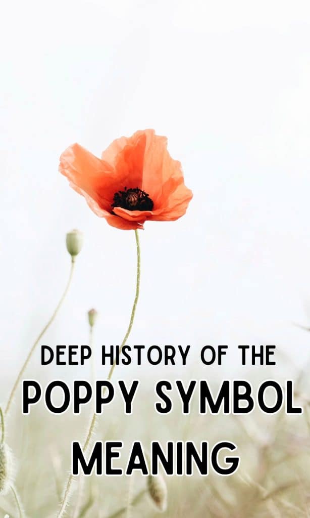 The Deep History of the Poppy Symbol Meaning - On Your Journey