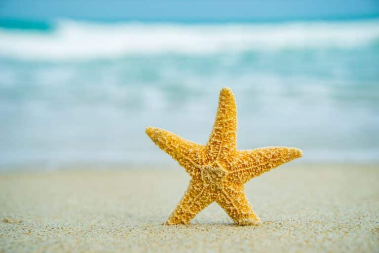 45 Beautiful and Empowering Symbols of Self Love - On Your Journey