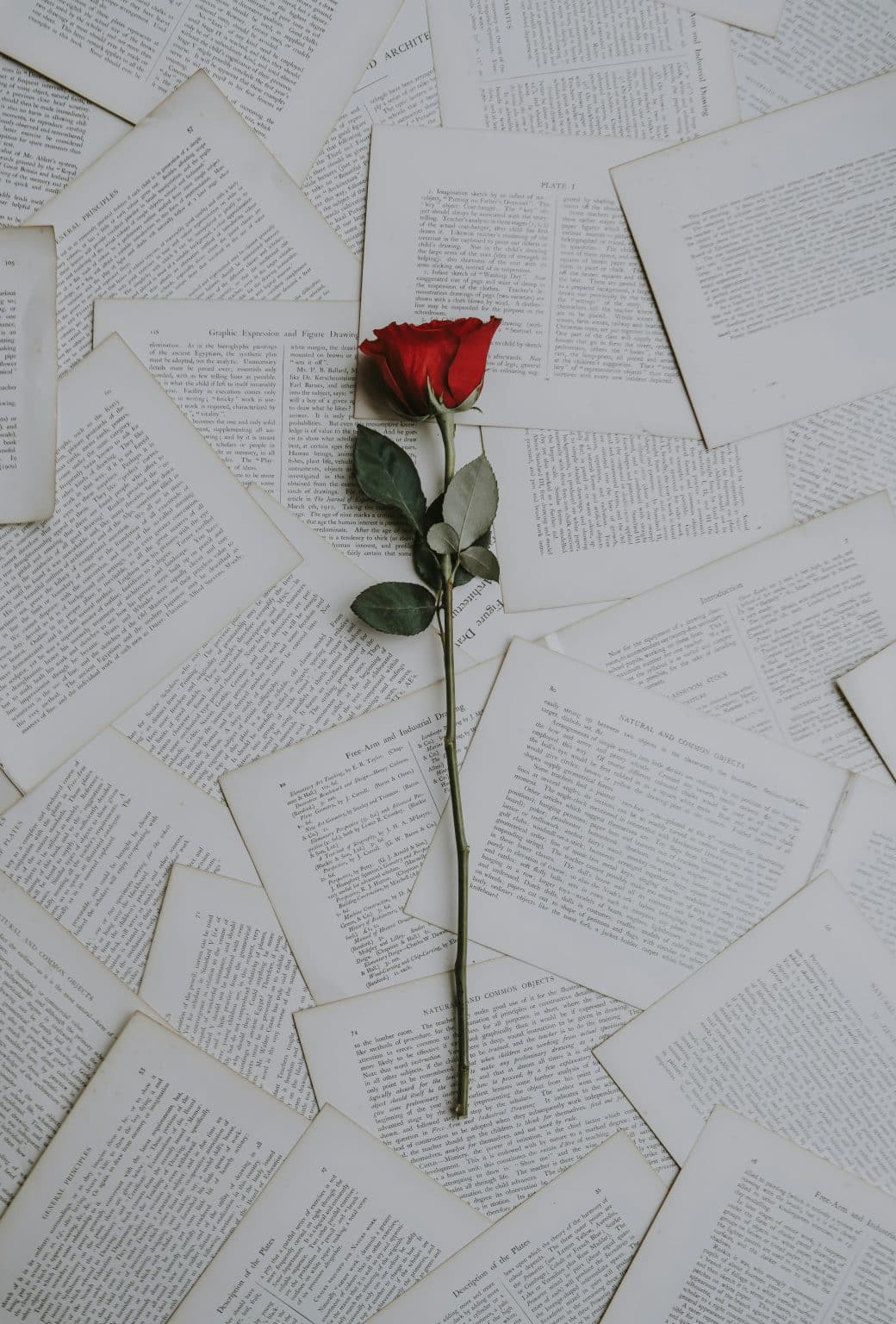 35 Spiritual Symbols of Love and Their Deep Meanings - On Your Journey